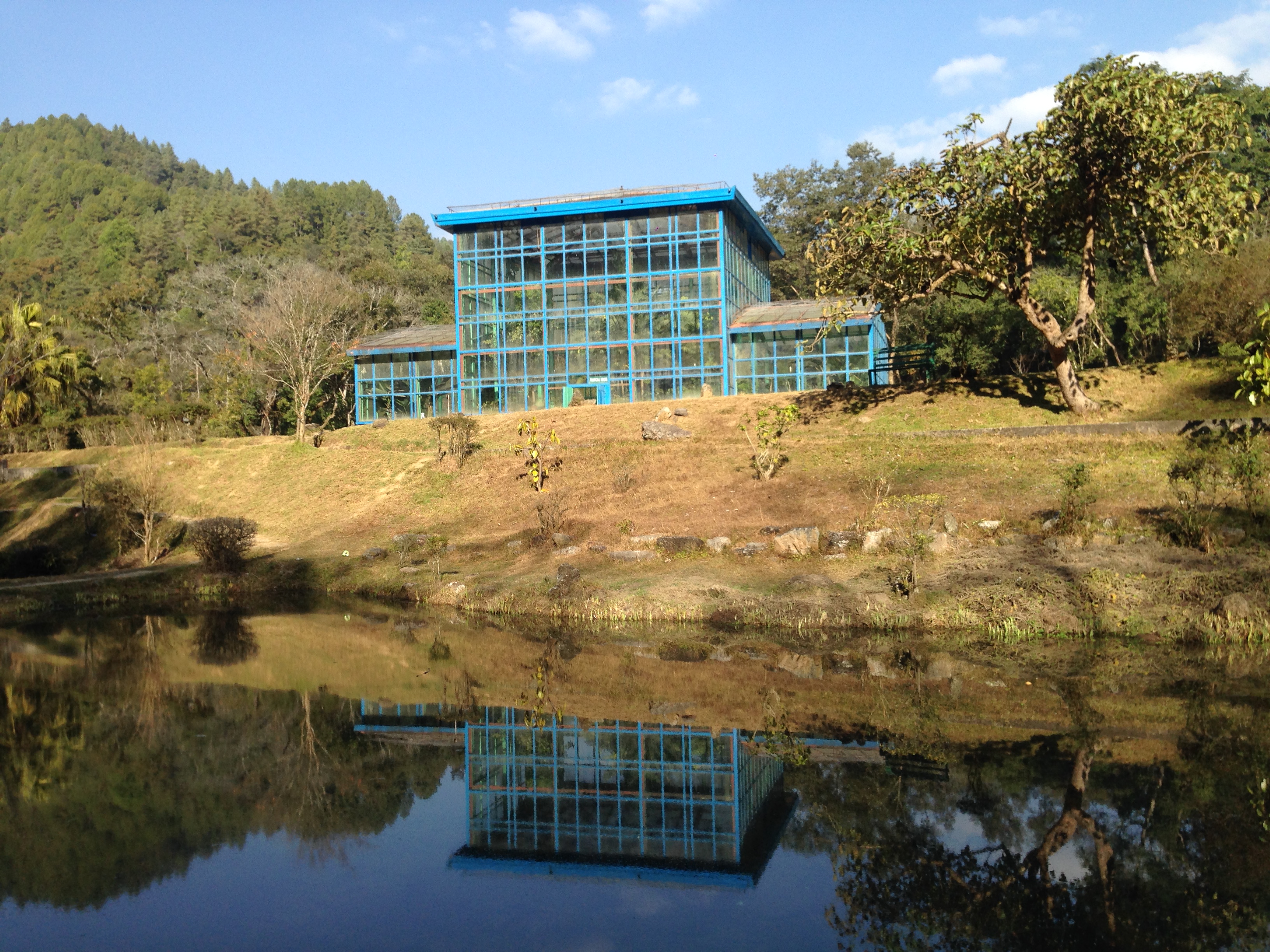 Phulchowki Hiking - First Environmental